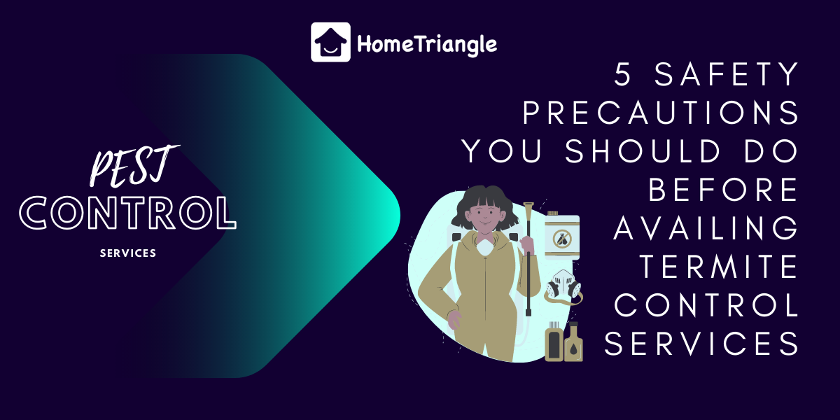 5 Safety Precautions - Before Availing Termite Control Services