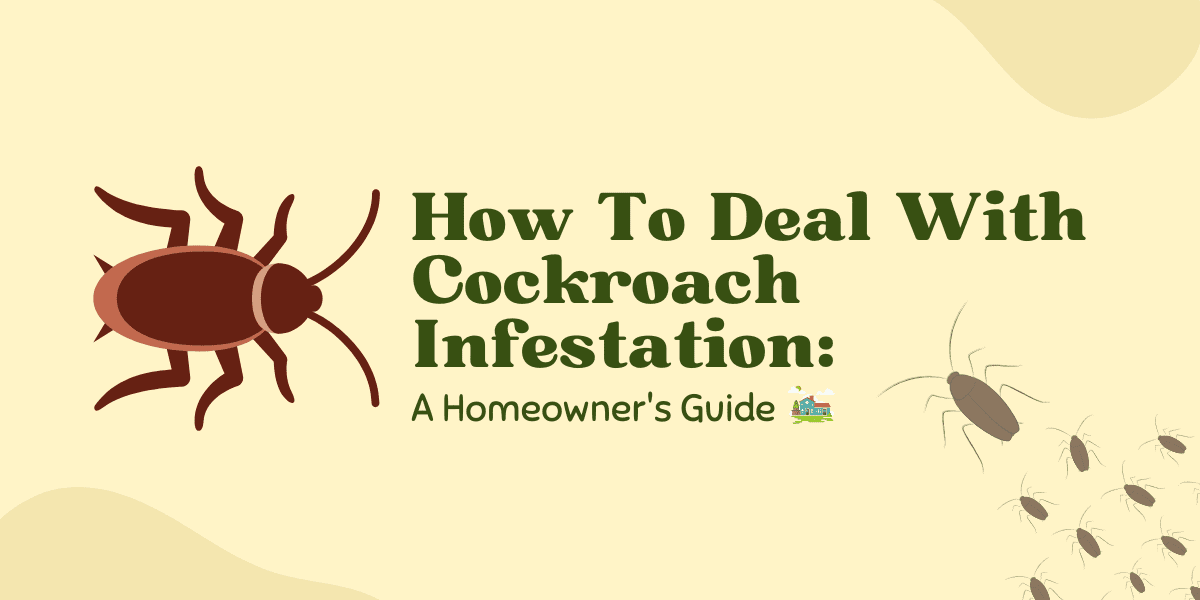 How to deal with cockroach infestation: A homeowner's guide