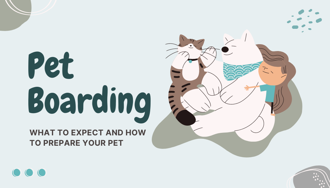 Pet Boarding: What to Expect and How to Prepare Your Pet