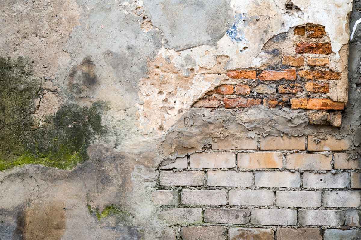 Essential Restoration Services: Aid for Homes & Businesses