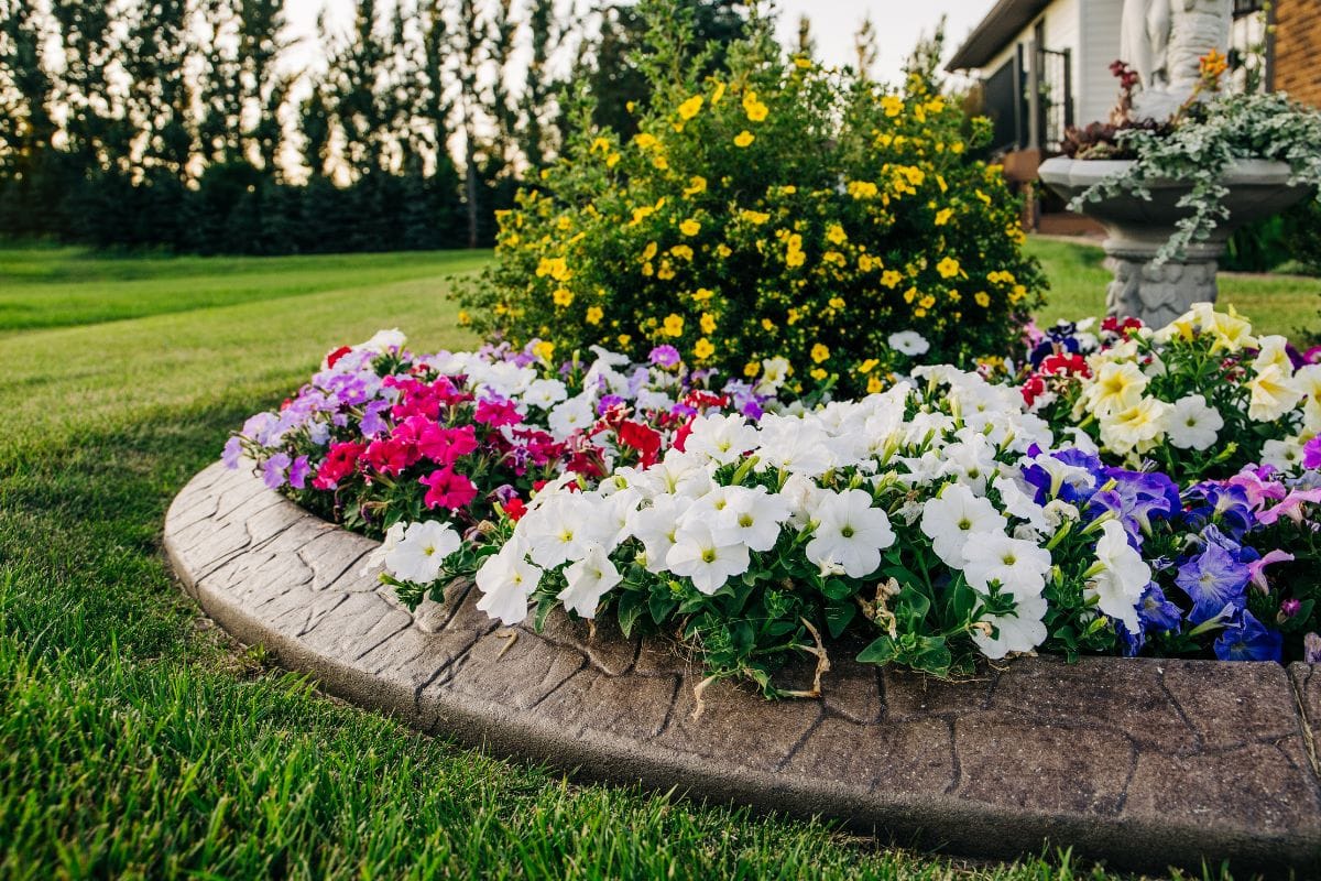 A complete list of flowering plants for new Gardeners!