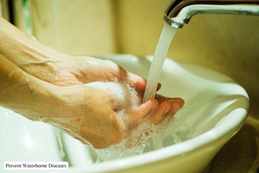 How To Prevent Waterborne Diseases In Your Household