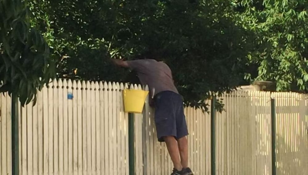 Best Care Tips for Your Vinyl Fence You Need to Know