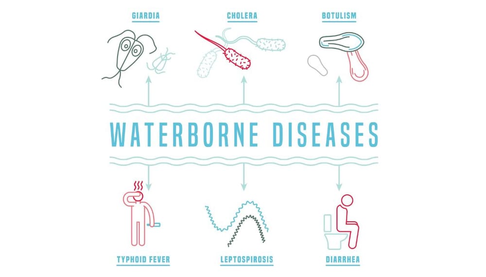 How To Prevent Waterborne Diseases In Your Household
