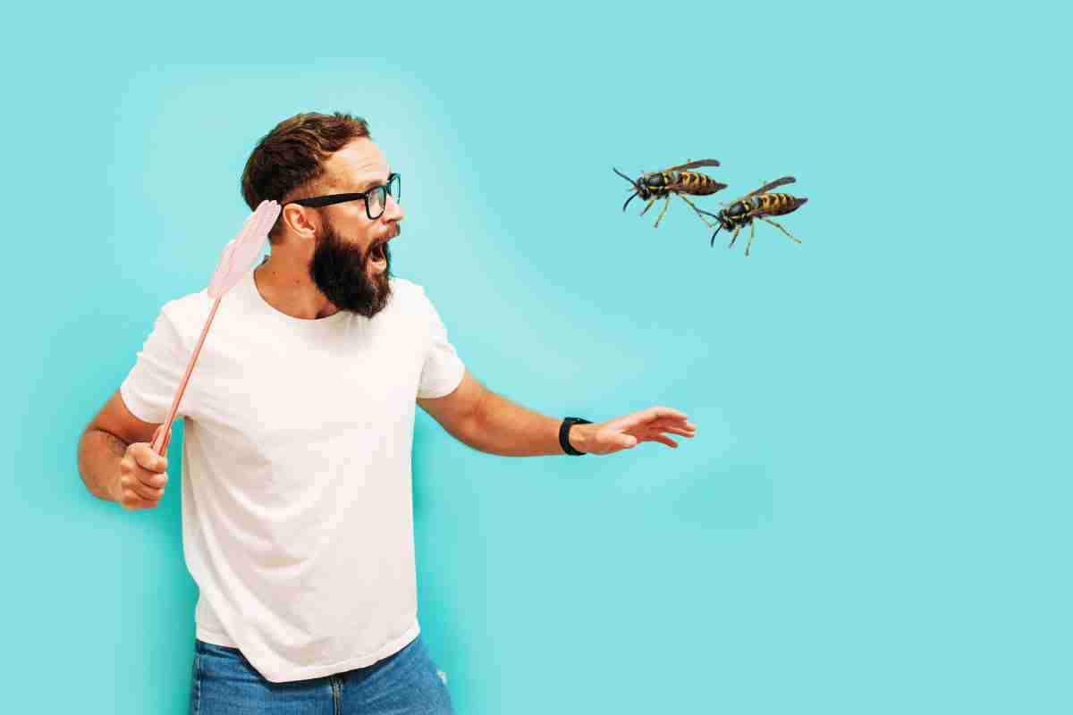 The Dos And Don'ts Of Wasp Control