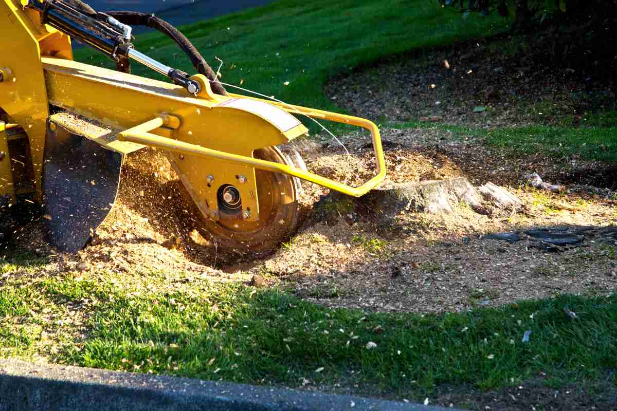 Why a Stump Grinder Is Essential for Yard Maintenance