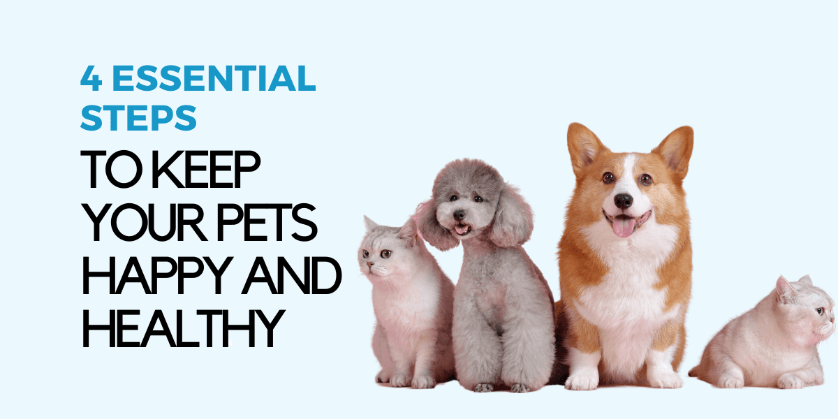4 Essential Steps to Keep Your Pets Happy and Healthy