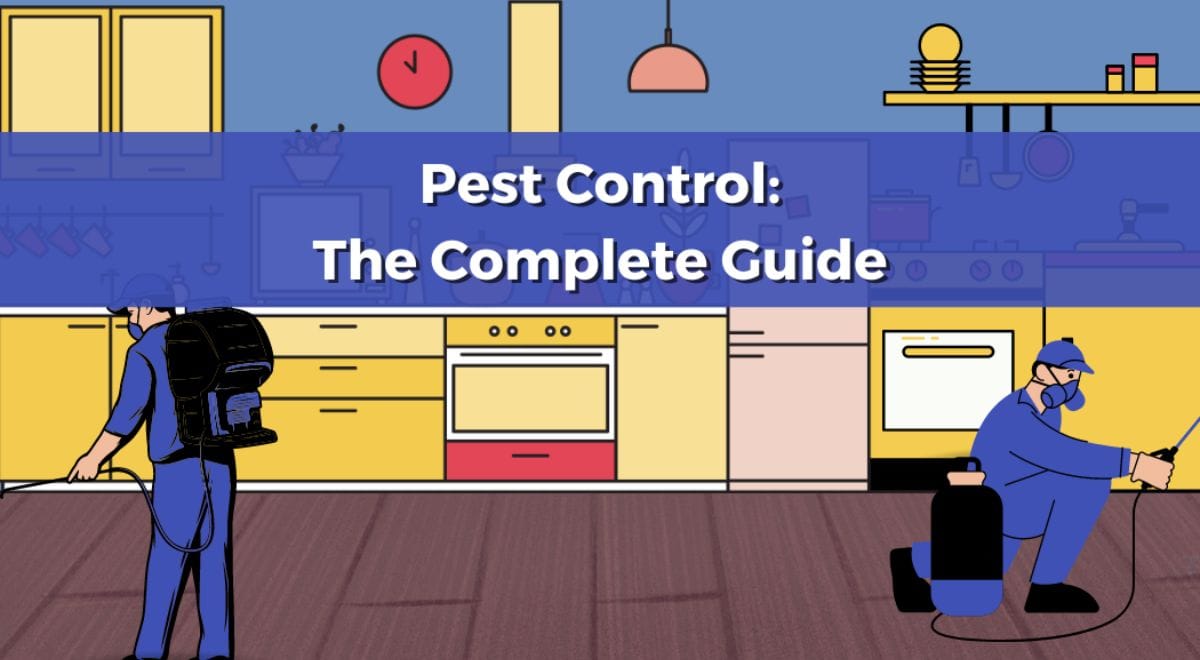 Top 5 Pest Control Tips - Complete Guide for pest Control