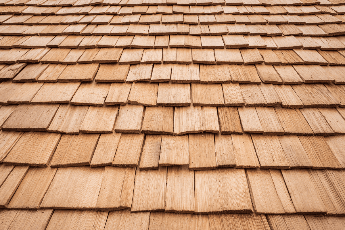 The Beguiling and Original History of Roofs