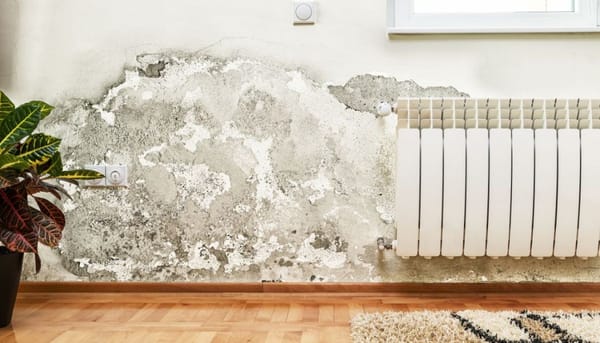 Damaged Walls: 7 Main Causes And Solutions
