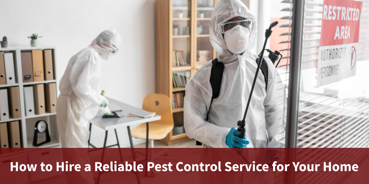 How to Hire a Reliable Pest Control Service for Your Home